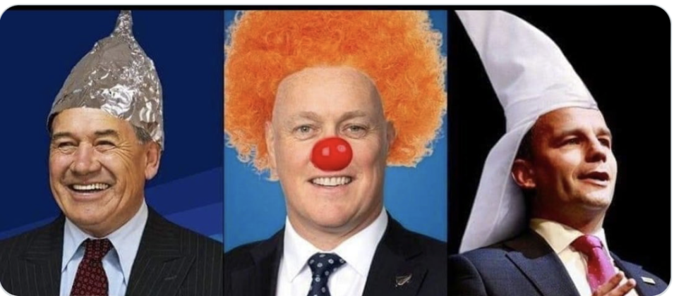 Boomer Edge Lord Winston Peters makes media conspiracy theory claim ...