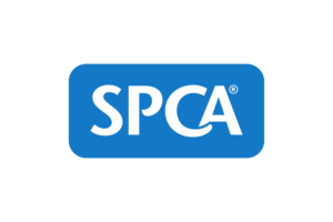 Long-Overdue Review Of Dog Control Act Must Deliver Real Change – SPCA ...