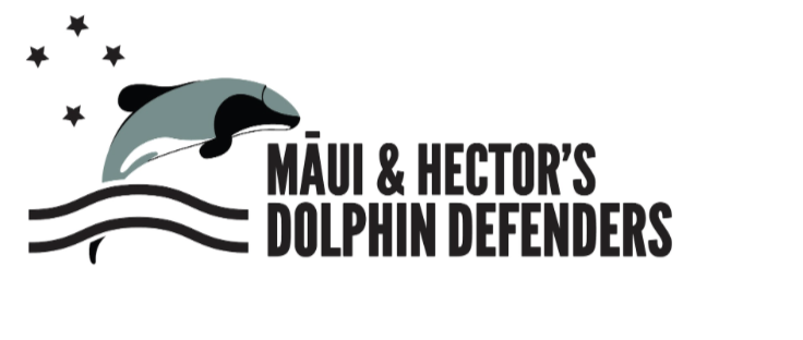 Māui and Hector’s Dolphin Defenders take on US government for failing ...