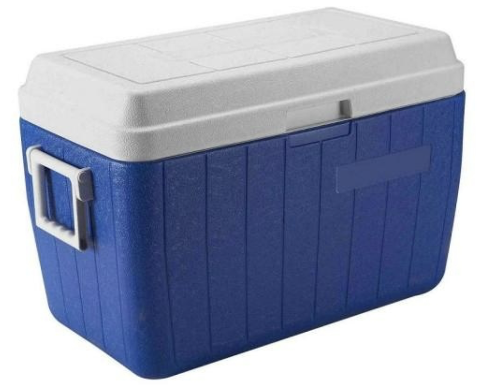 Chilly Bins in NZ: The Essential Gear for Keeping Your Food and Drinks ...