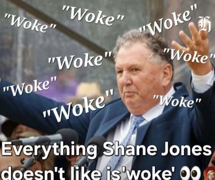 Can we define woke again please for the New Zealand Voter? | The Daily Blog