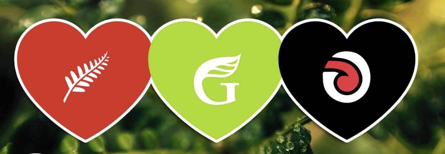 MEDIAWATCH: Thomas Coughlan and Wayne Mapp sing Father and Son to warn ...