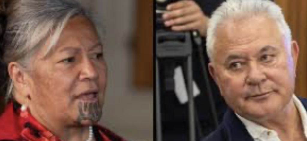 High Court Hands Te Pati Māori Leadership Body Blow Before AGM ...
