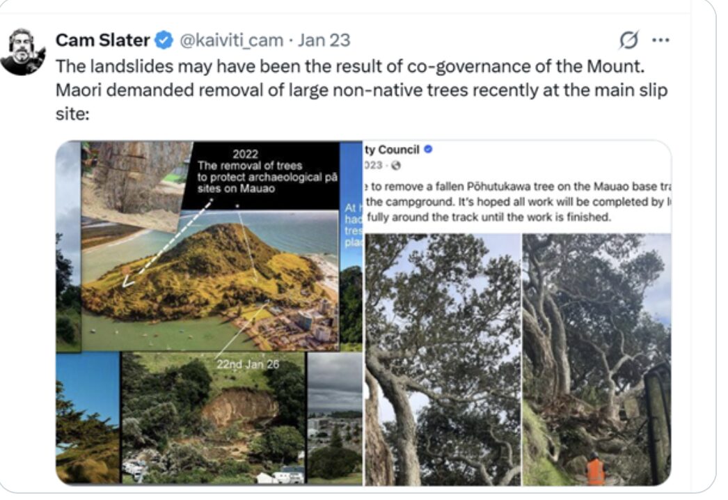 But Mr Luxon, The Trolls Posting Racist Mt Maunganui Disinformation Are ...